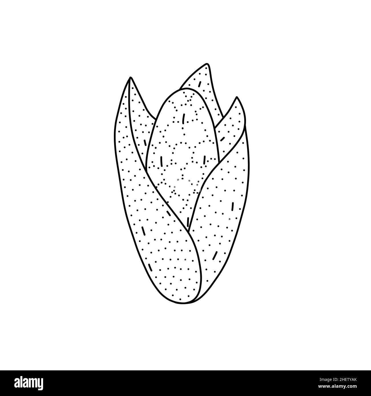 Hand drawn vector illustration of a sweet corn in doodle style. Cute ...