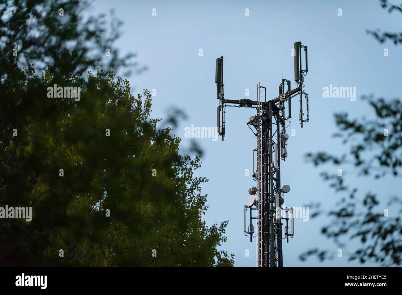 huge telecommunication pole in midden of trees and sky Stock Photo - Alamy