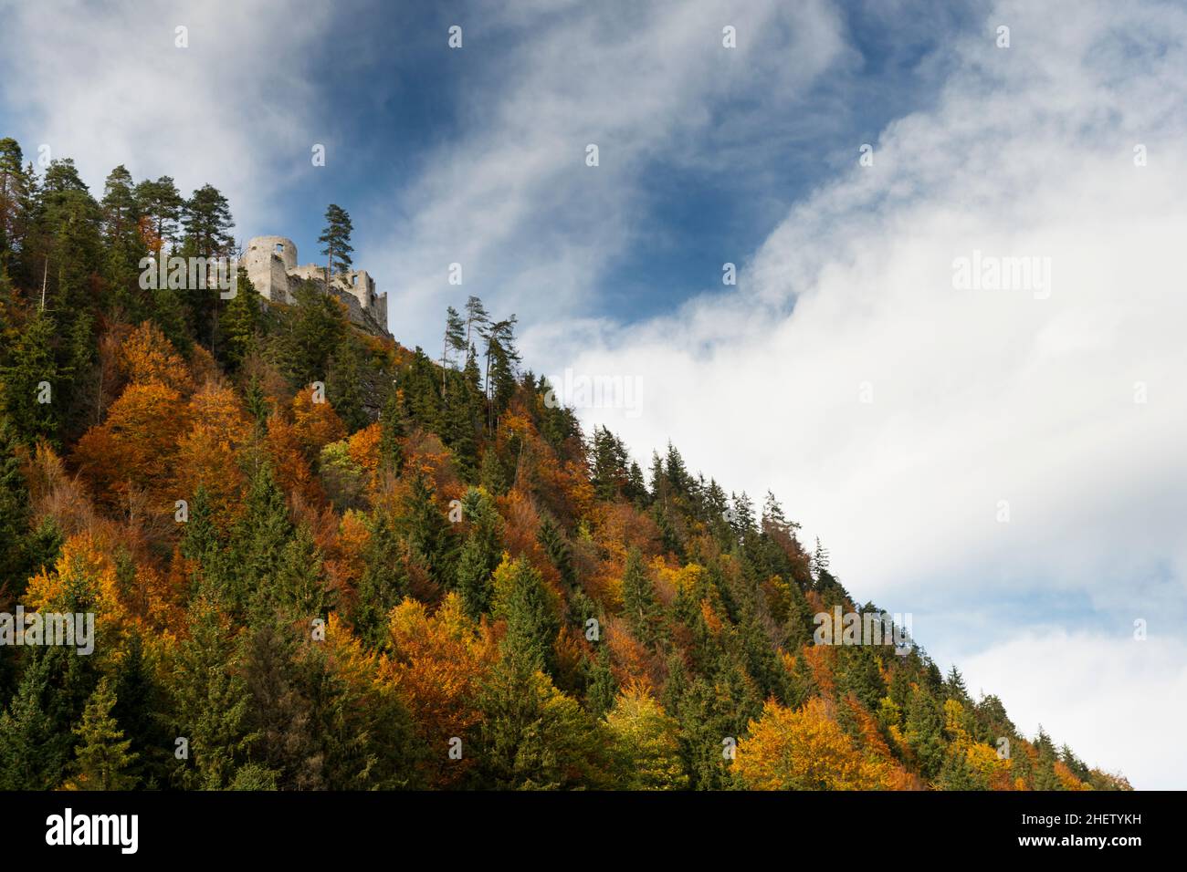 colorful forest at hill with old stoney castle on top Stock Photo - Alamy