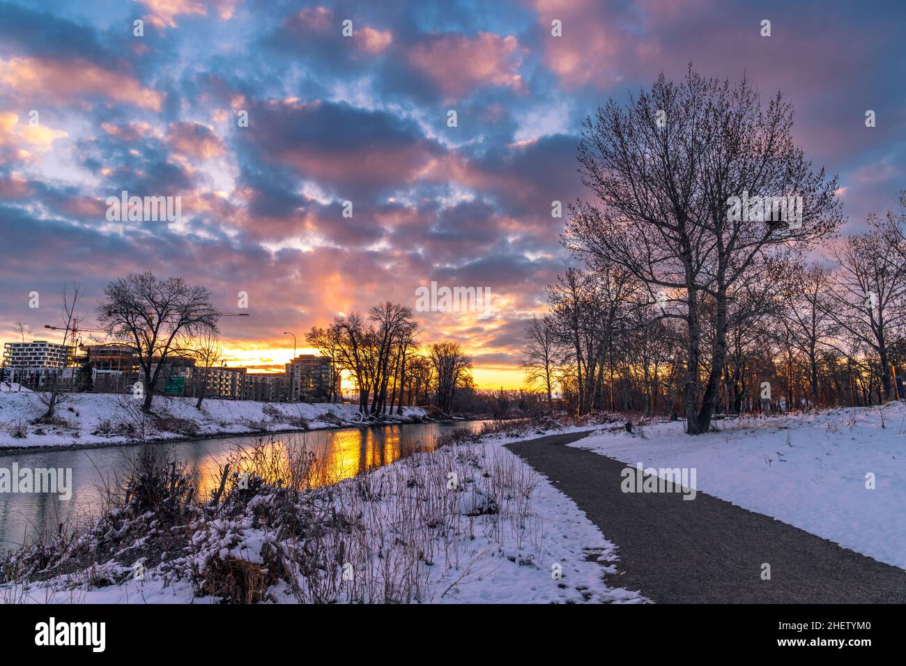 Trees path park hi-res stock photography and images - Alamy