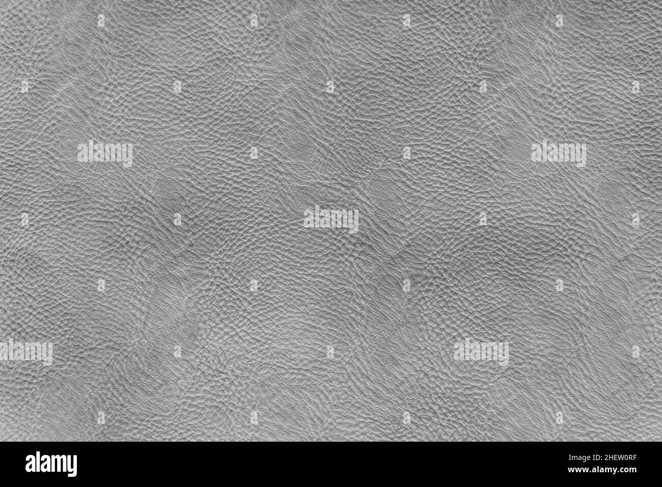 Natural light skin Black and White Stock Photos & Images - Alamy