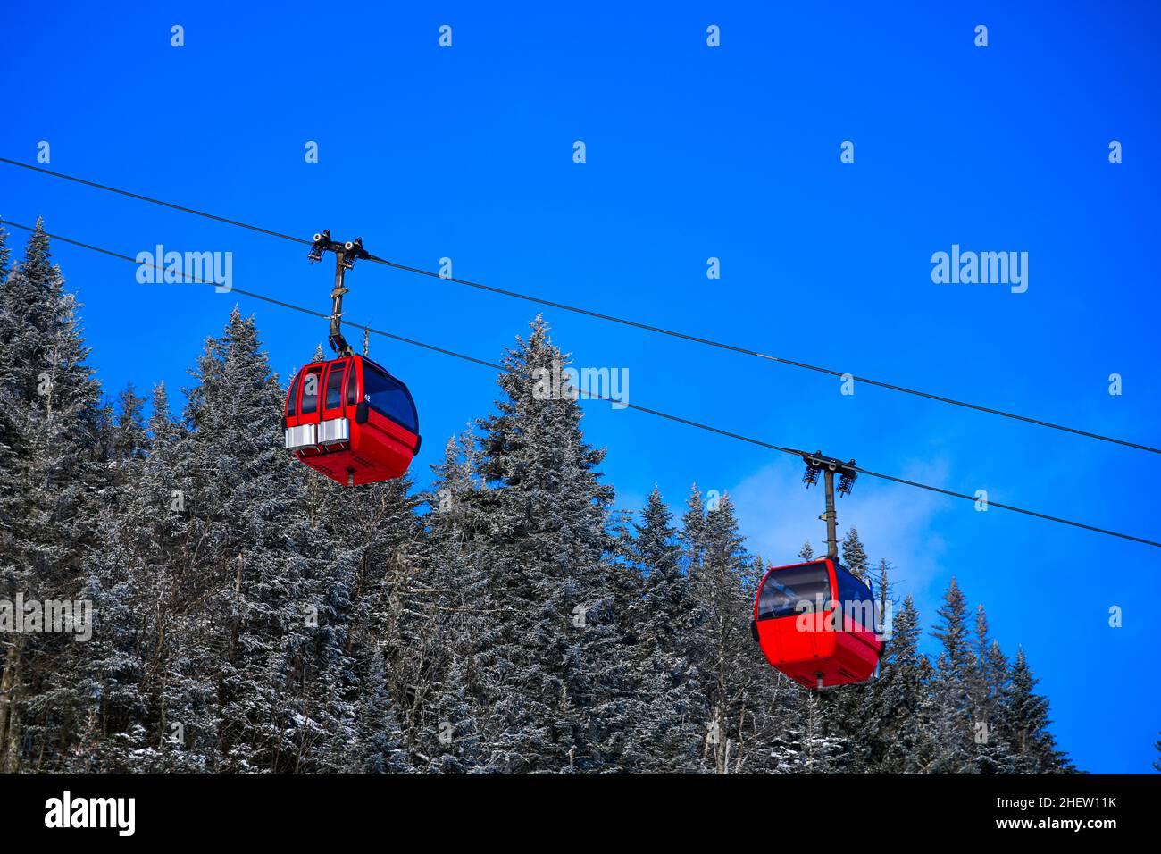 Mountain ski resort gondola. Winter landscape with pine trees covered ...
