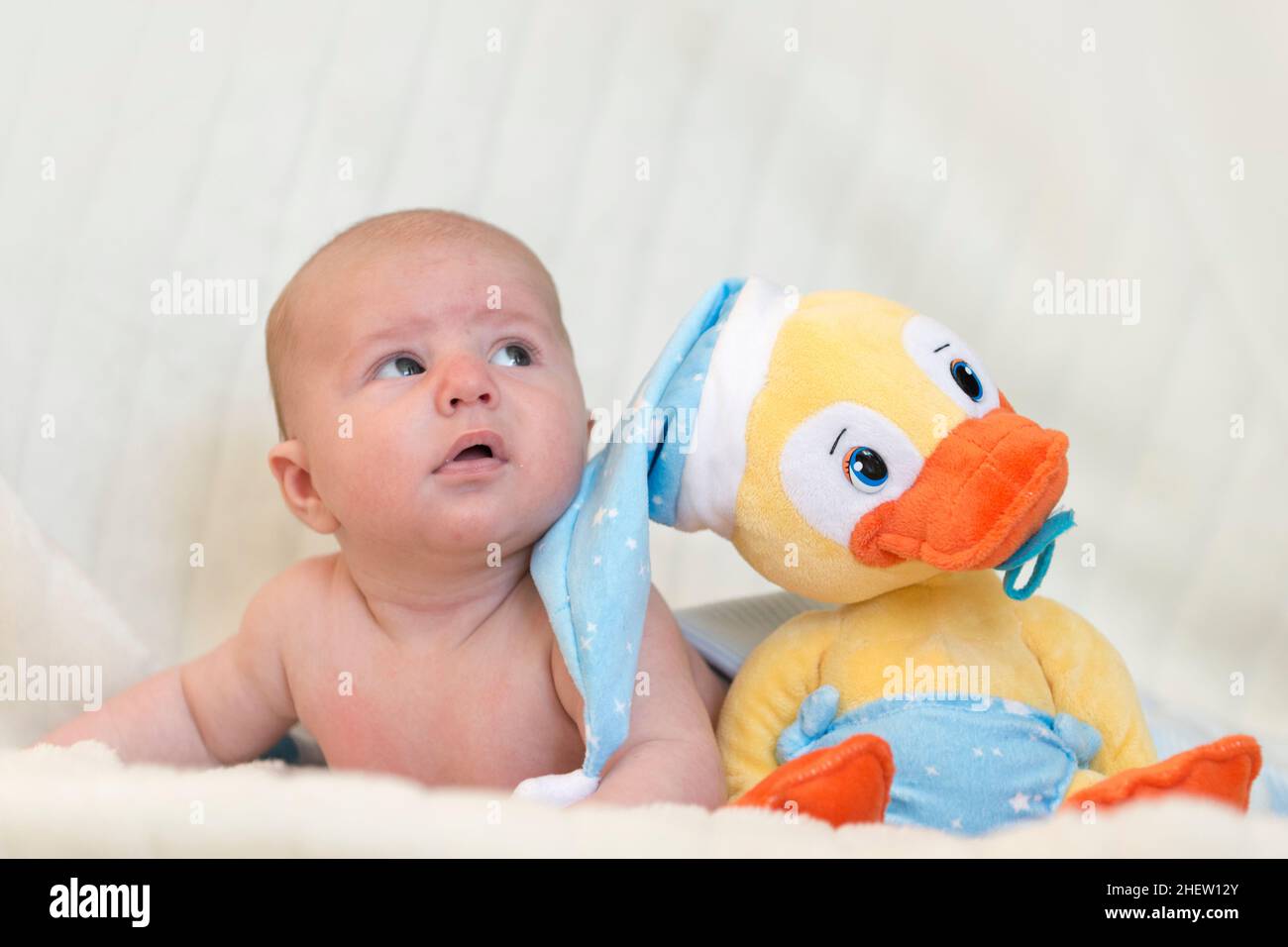 Newborn duck hi-res stock photography and images - Alamy