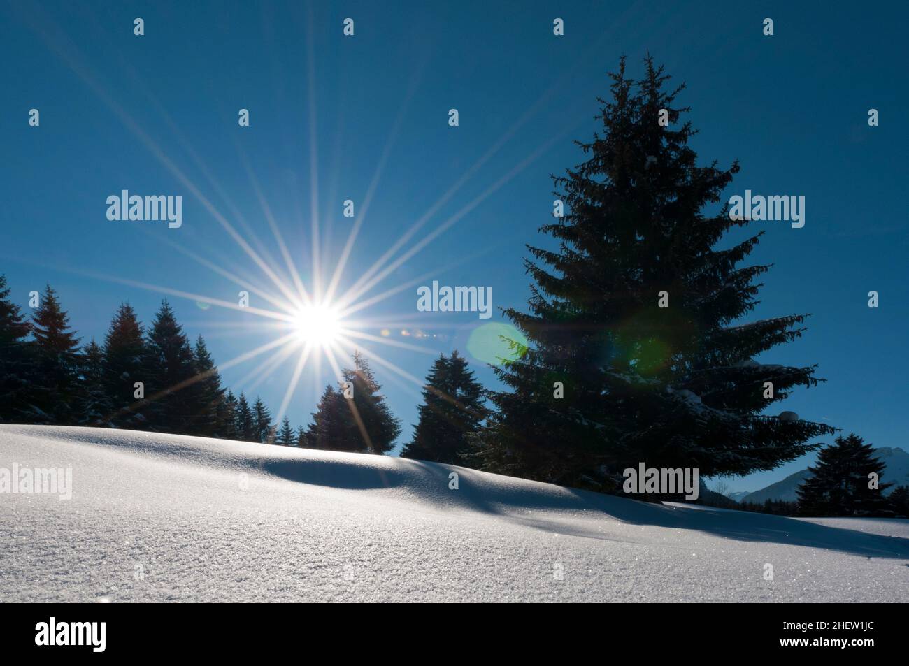 wonderfull and dreamy winter scenery with a lot of snow, trees, sun and ...