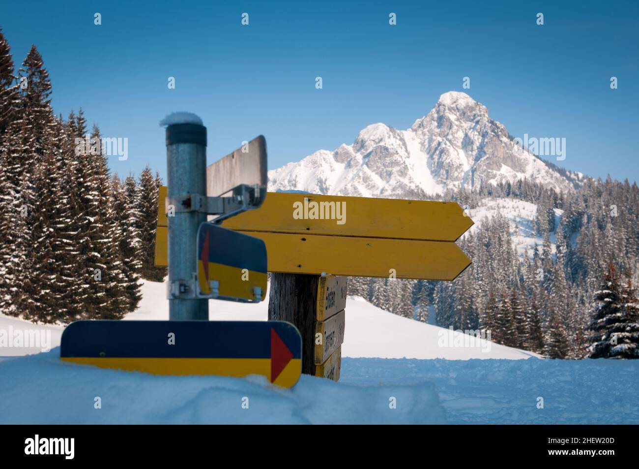 Blank yellow blue road signs hi-res stock photography and images - Alamy