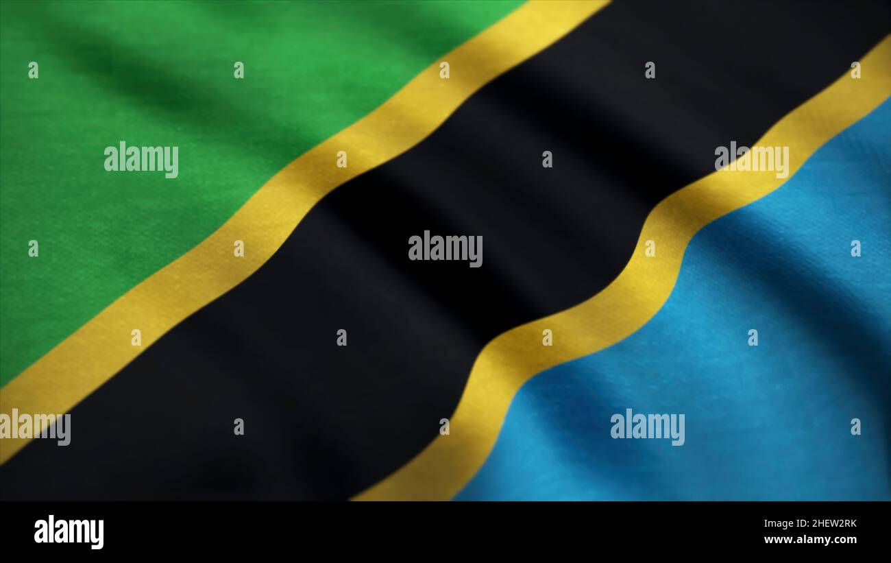Flag of Tanzania with fabric texture, seamless loop. Tanzania Flag ...