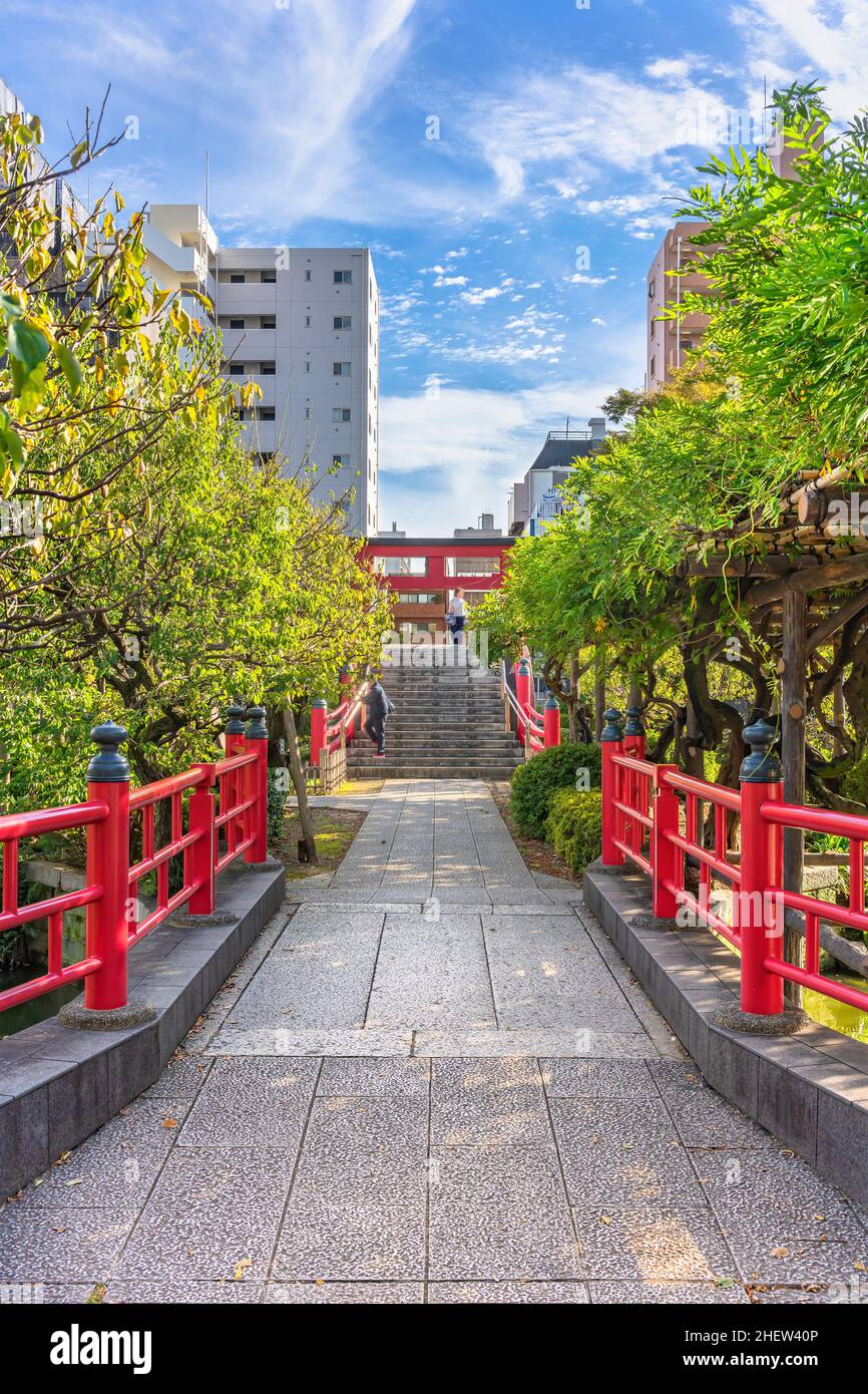 tokyo, japan - october 26 2019: Walk path surrounding by plum trees and ...