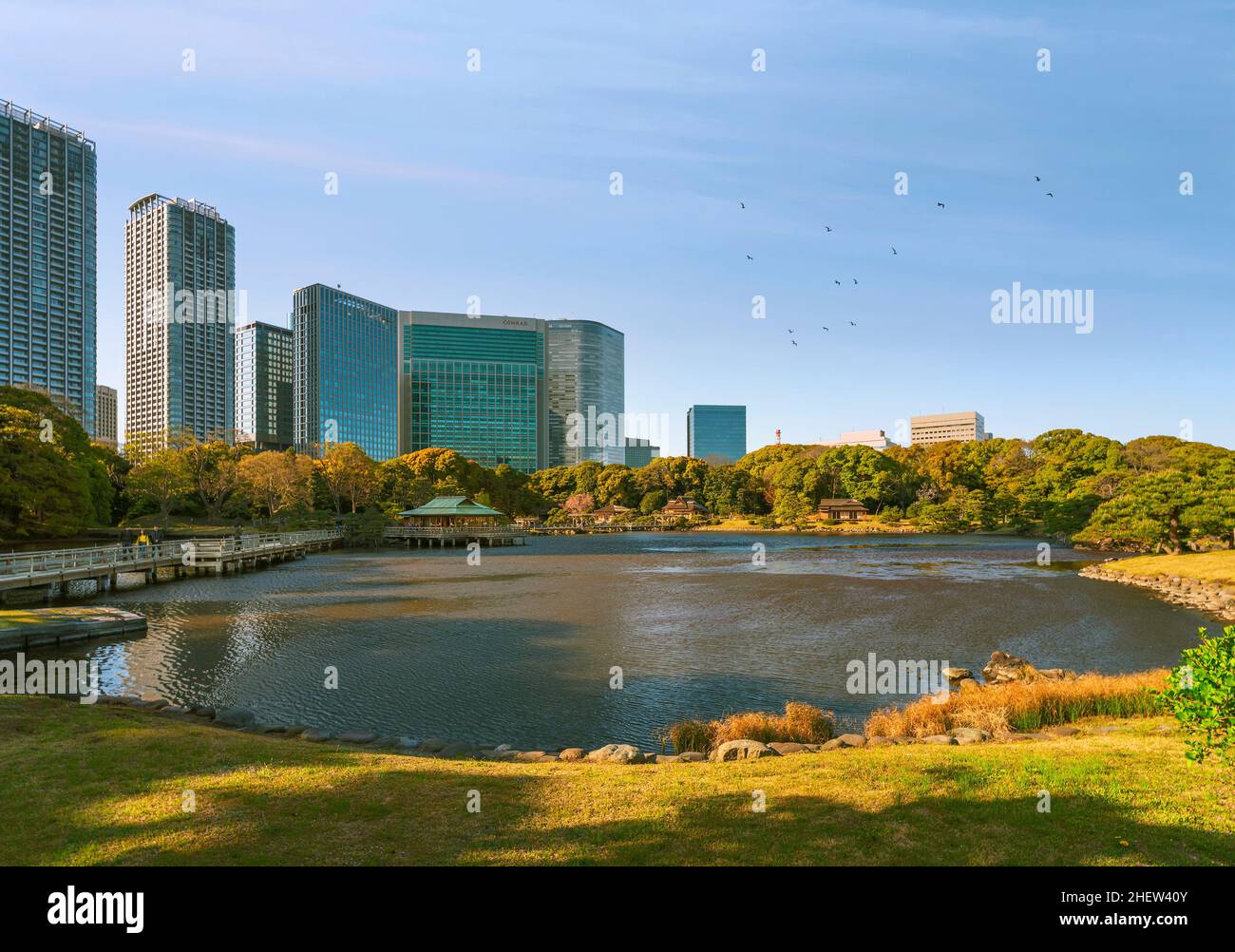 Skyscrapers over japanese garden in tokyo hi-res stock photography and ...