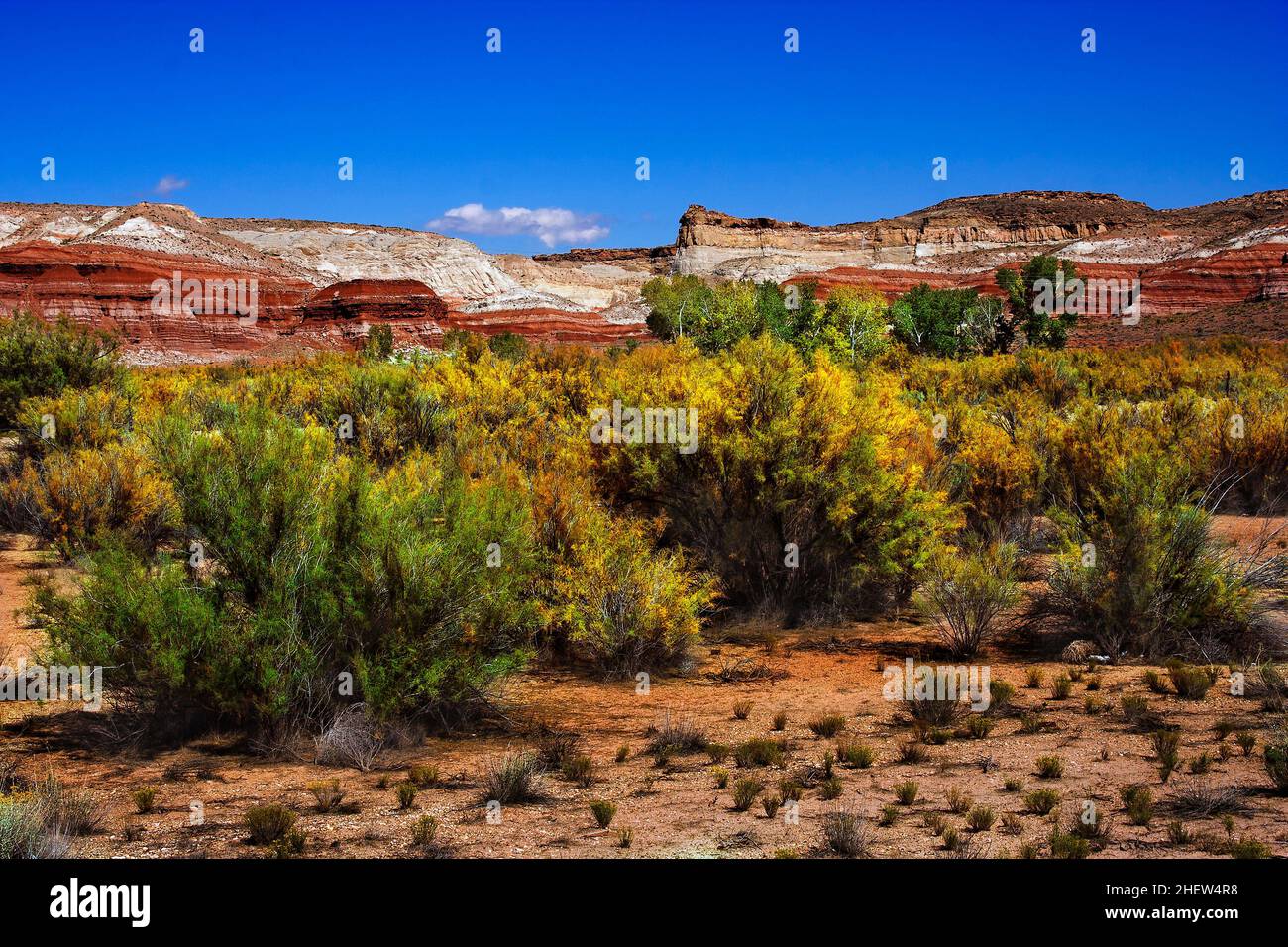 Arizona landscape, United States Stock Photo - Alamy