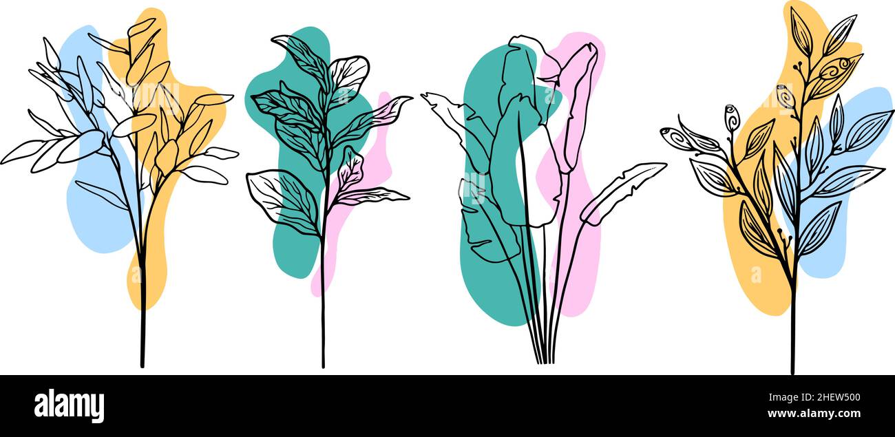Single line drawing art, tropical leaves, botanical plant set isolated ...