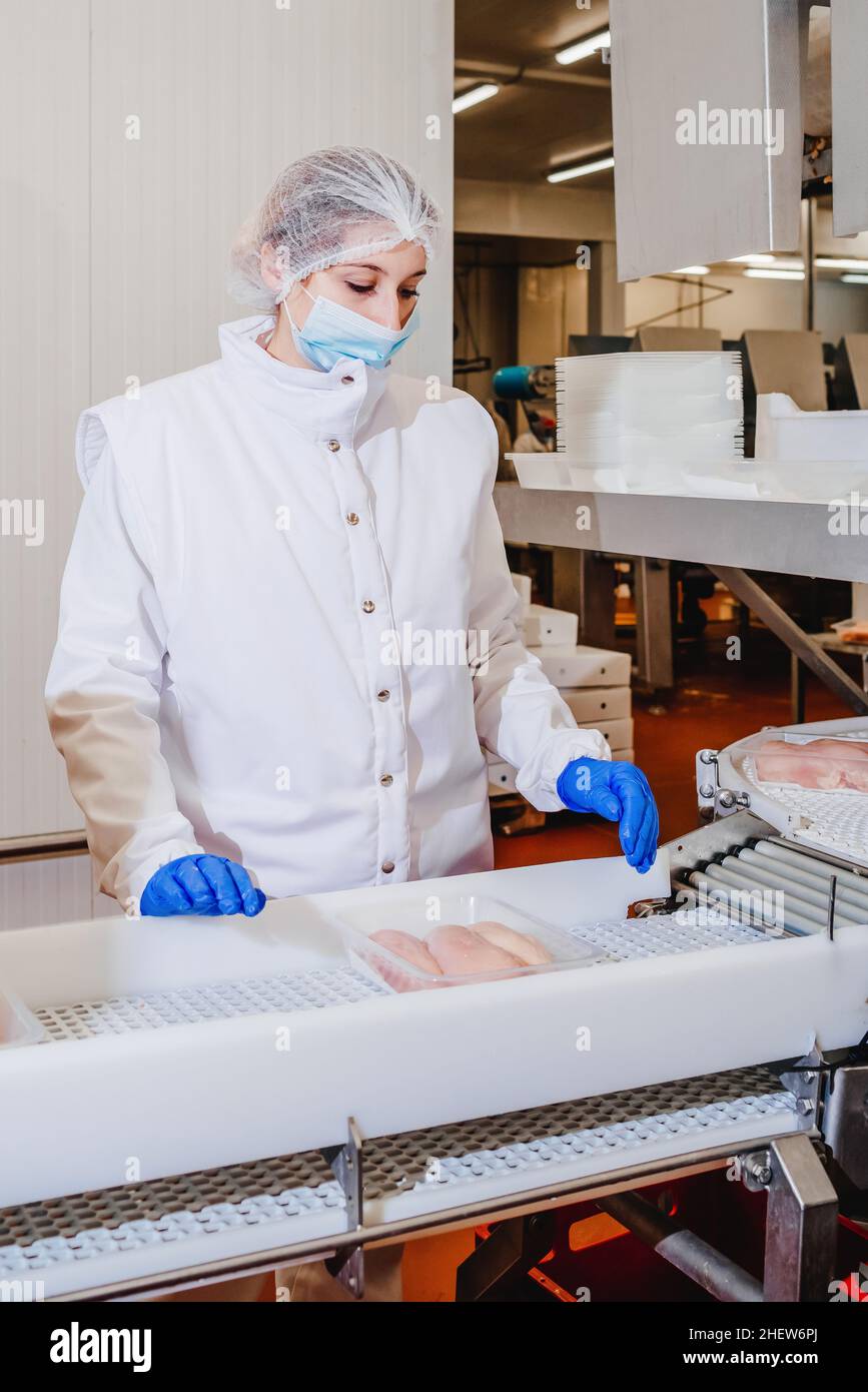 Chicken fillet production line . Factory for the production of food ...
