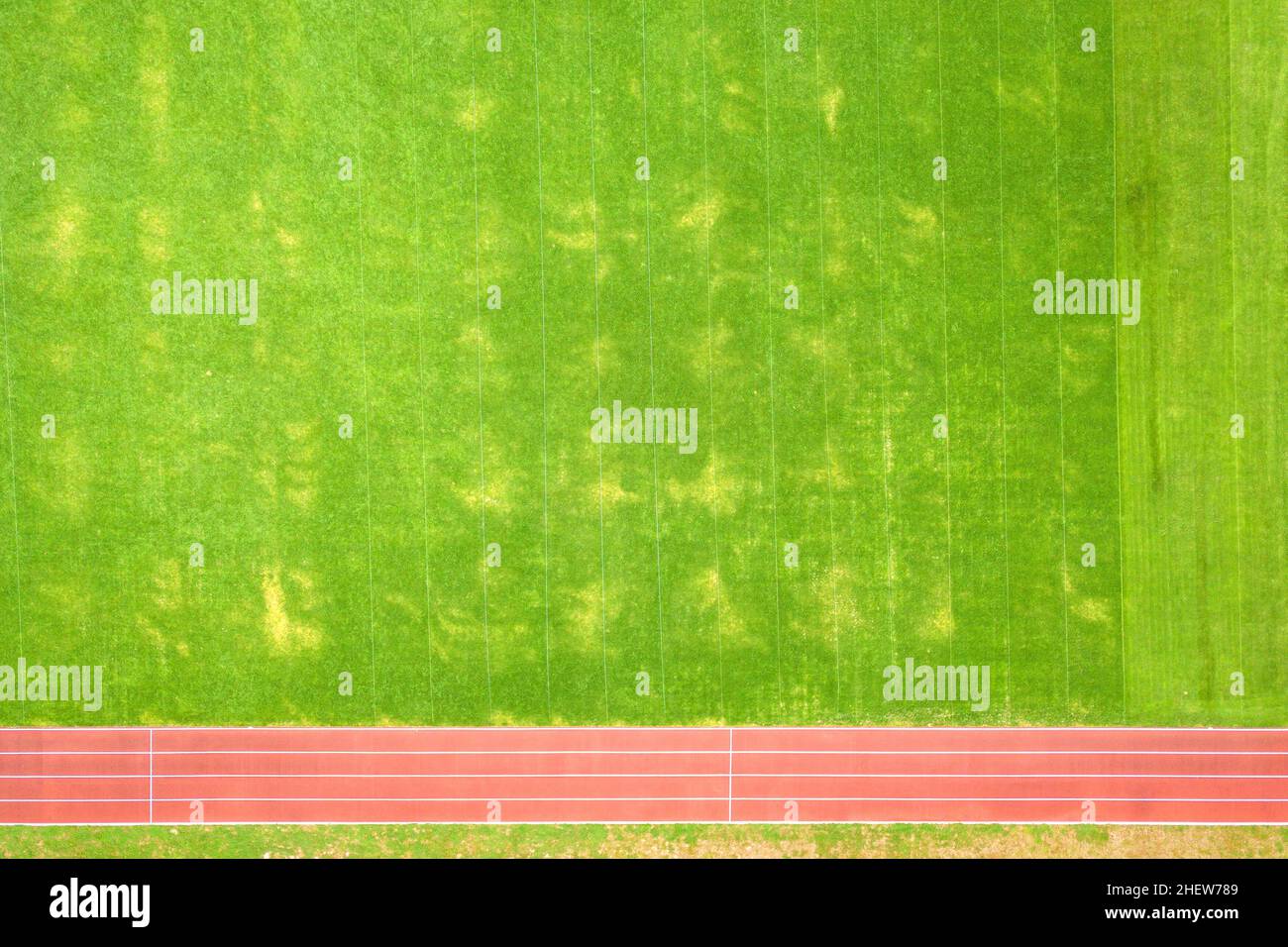 Aerial view of surface of green freshly cut grass on football stadium ...