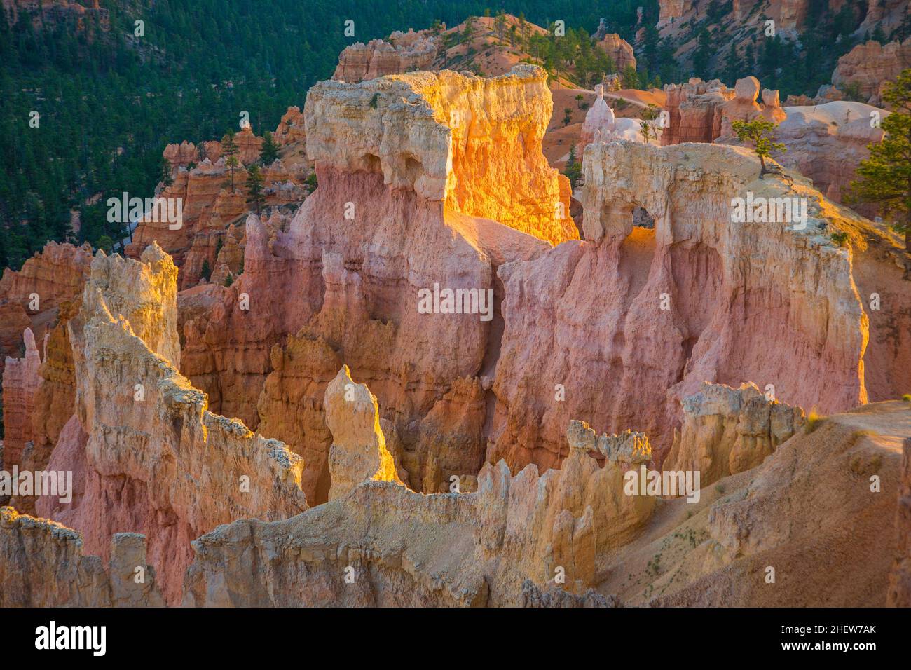 beautiful landscape in Bryce Canyon with magnificent Stone formation ...