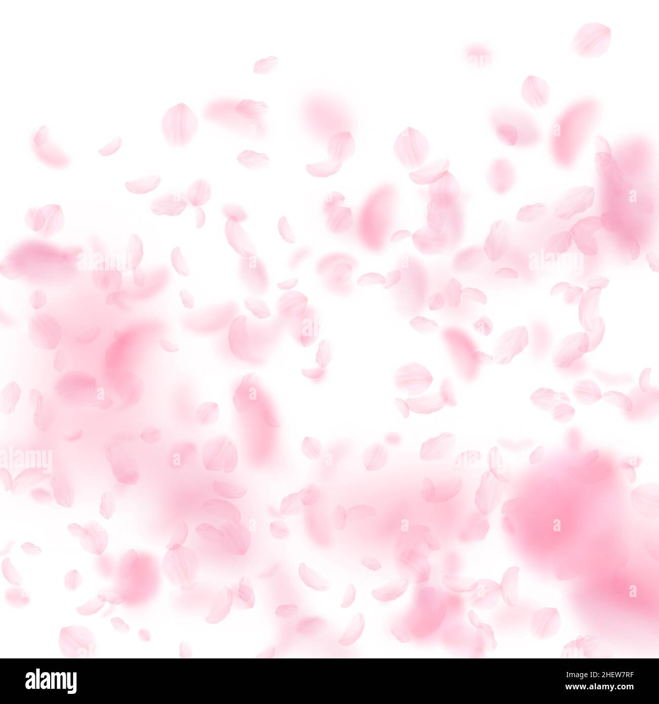 Sakura petals falling down. Romantic pink flowers gradient. Flying ...