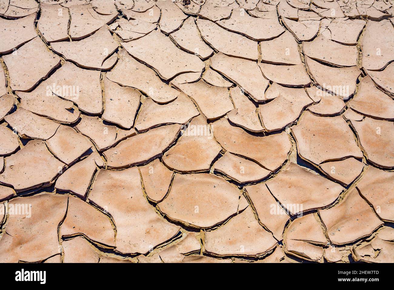 big mud cud cracks and dried mud tiles in the death valley desert Stock ...