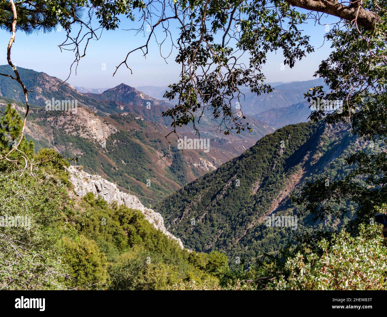 scenic landscape in Sequoia national park with river Kaweah Stock Photo ...