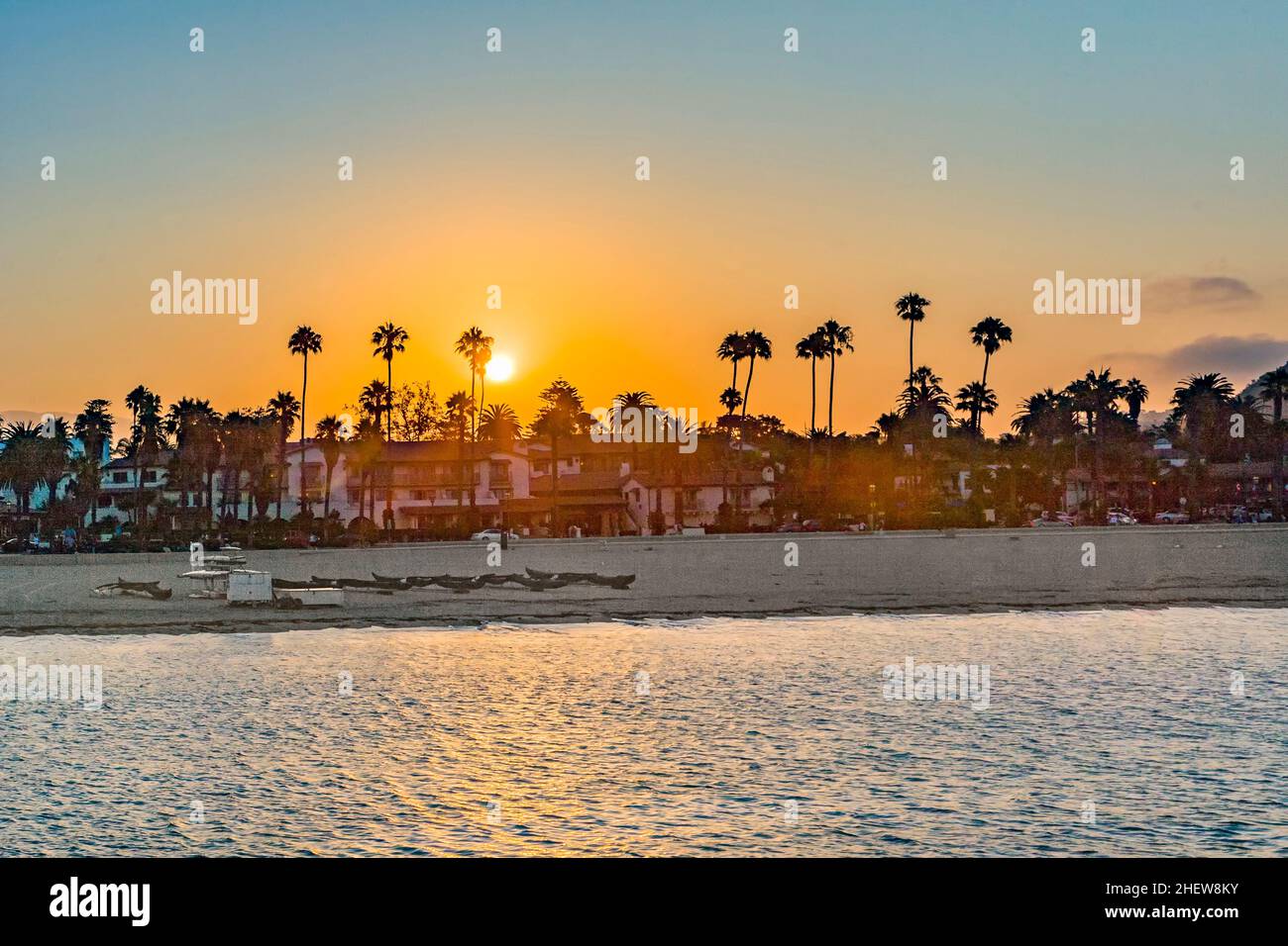 beach of Santa Barbara with palm trees in sunset Stock Photo - Alamy