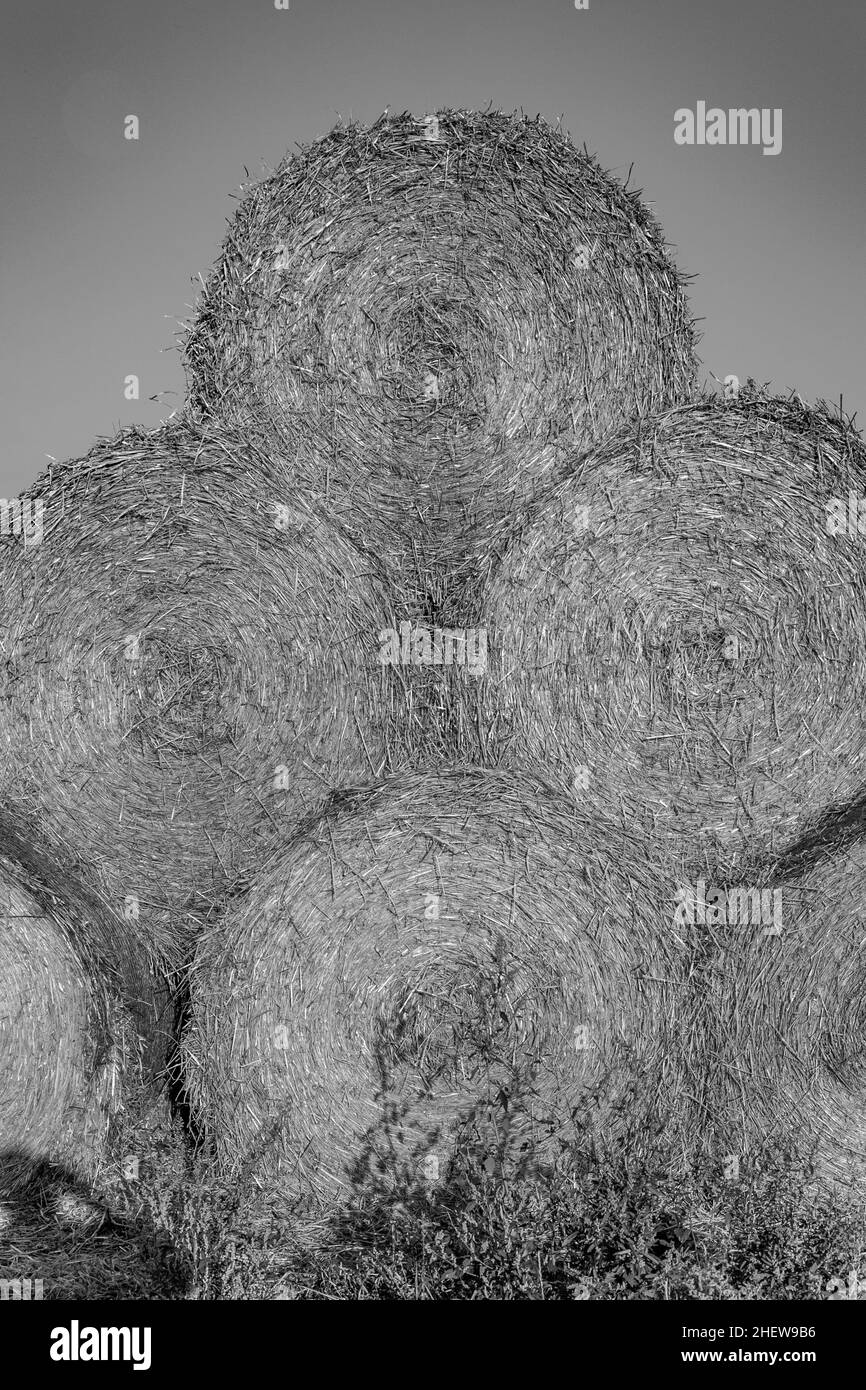 Blue black white colors Black and White Stock Photos & Images - Alamy