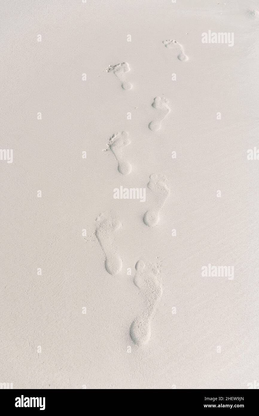 human adult footprint in the fine sand at the beach Stock Photo - Alamy