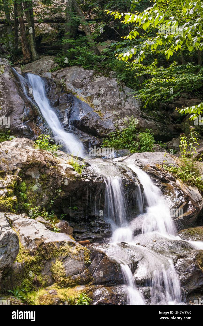 Rich and beautiful ecosystem hi-res stock photography and images - Alamy