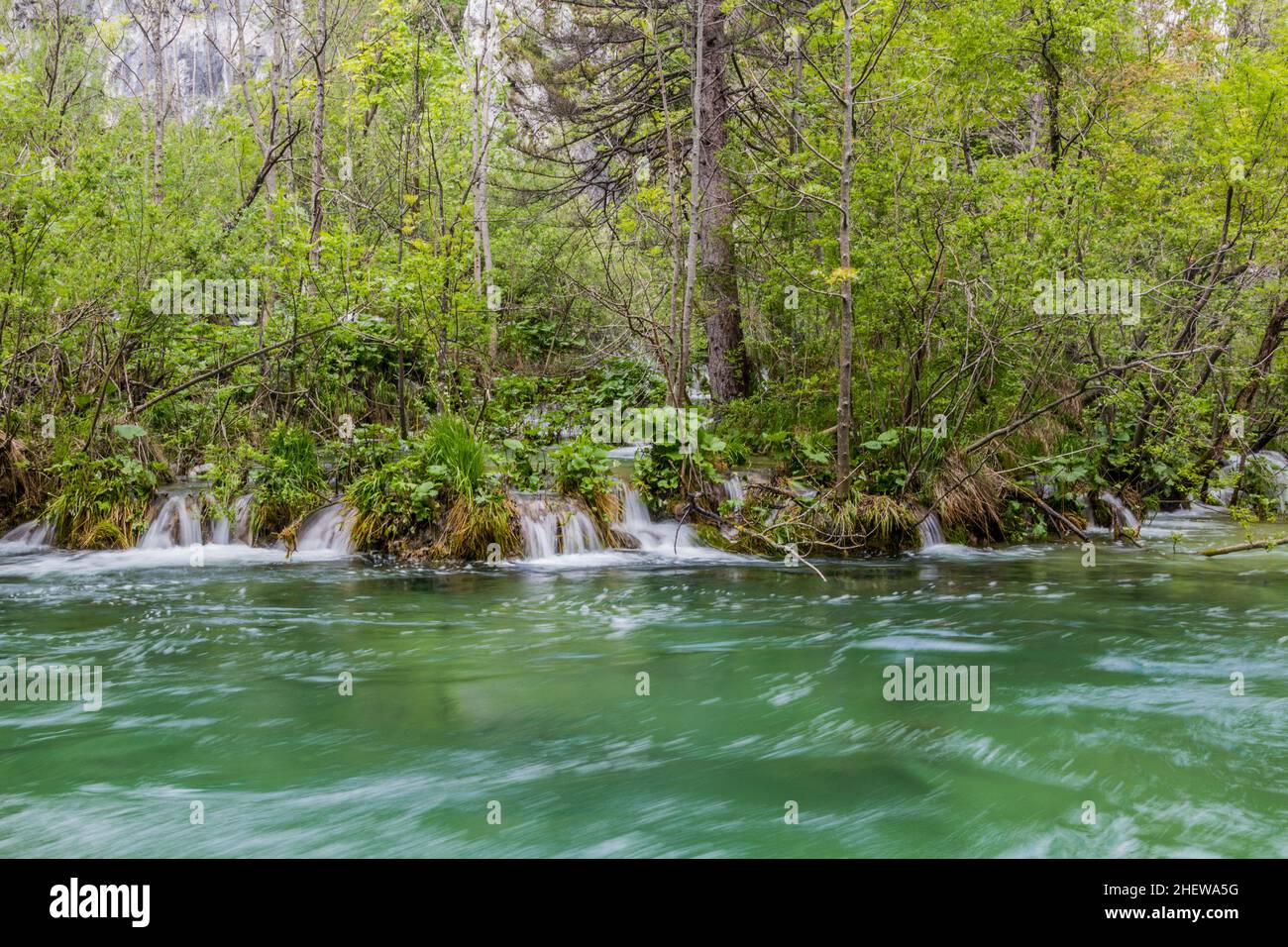 Milke trnine hi-res stock photography and images - Alamy