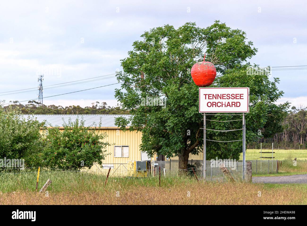 The Big Apple of Yerrinbool, New South Wales, Australia, along the Old ...