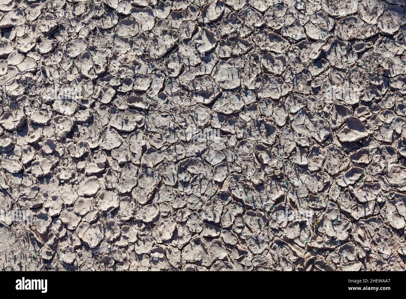 dry loam in the desert as symbol and background Stock Photo - Alamy