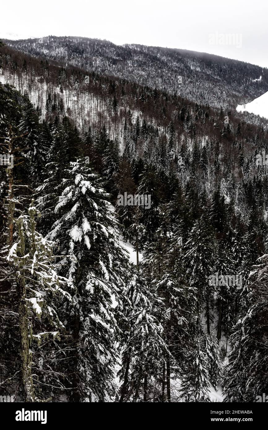 Winter landscape at the Pyrenees after a heavy snow stowm Stock Photo ...