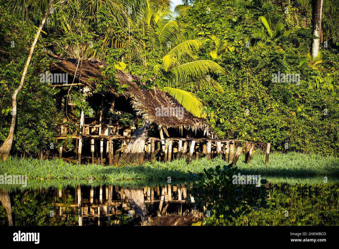 Tropical cabin in rainforest jungle with palm trees on river delta ...