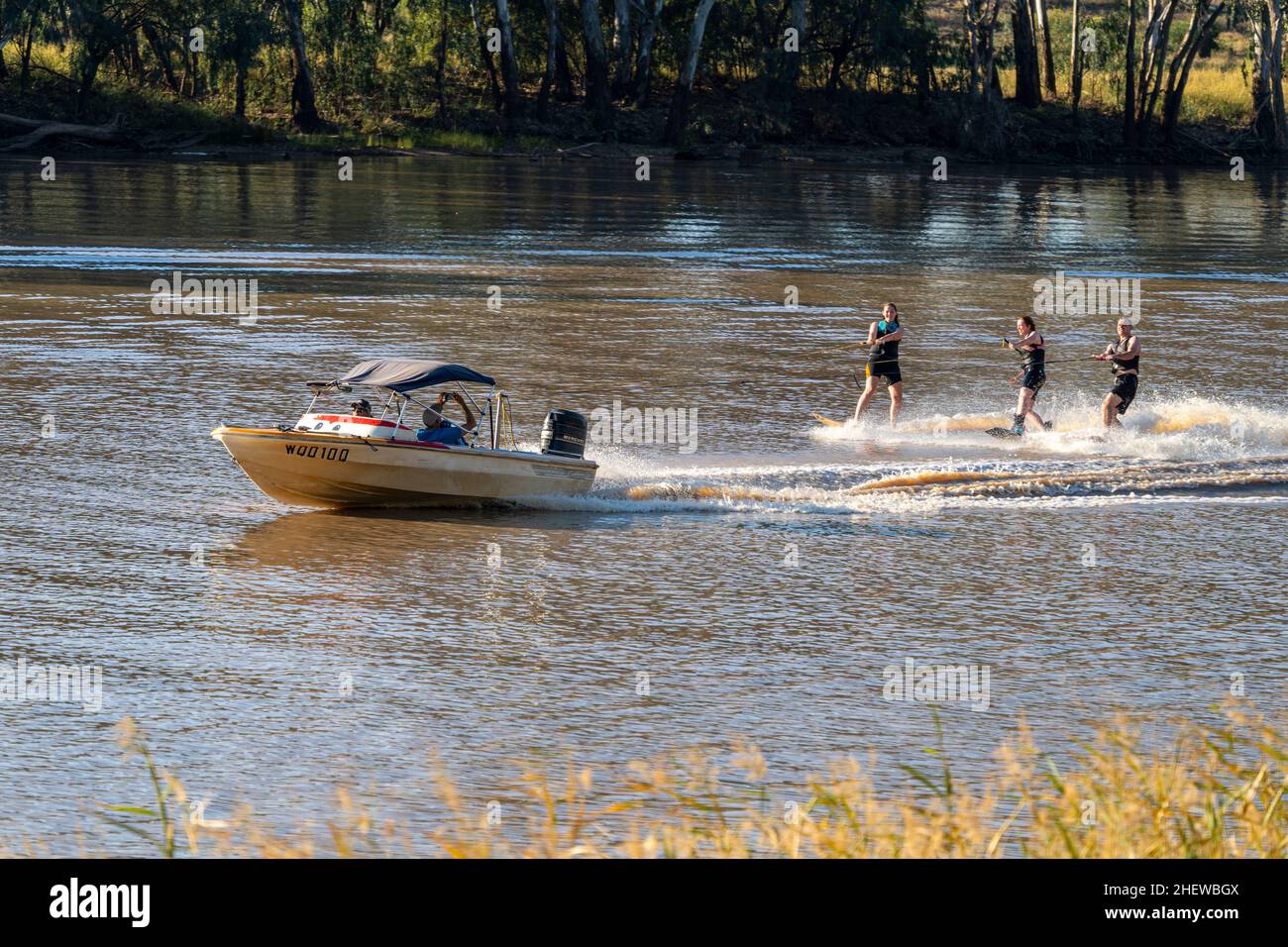 Water-skiers on Balonne River at St George, Queensland, Australia Stock ...