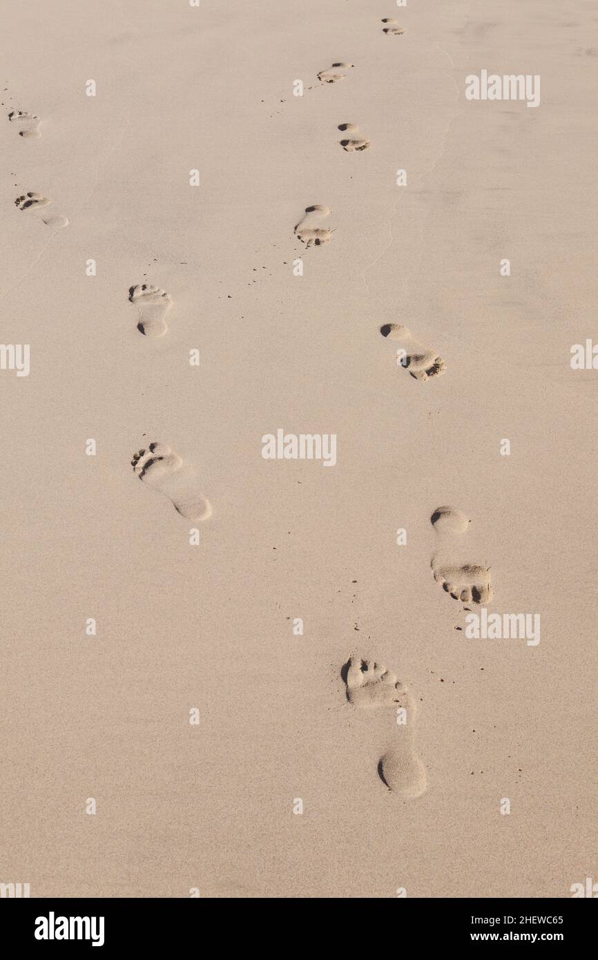 human footsteps at the clean sandy beach Stock Photo - Alamy
