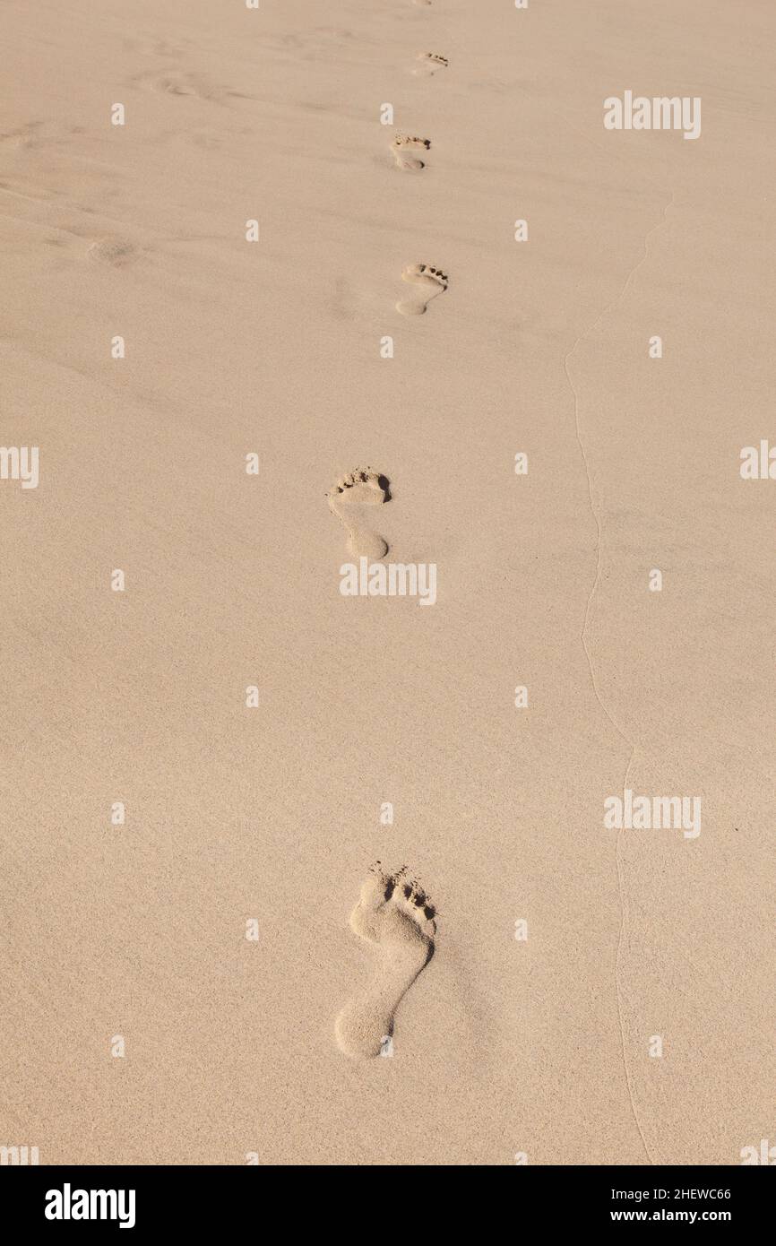 human footsteps at the clean sandy beach Stock Photo - Alamy