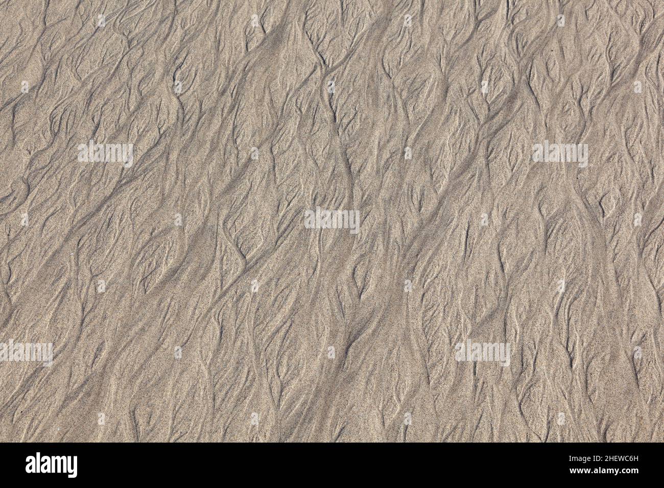 harmonic pattern of a sandy beach in detail Stock Photo - Alamy