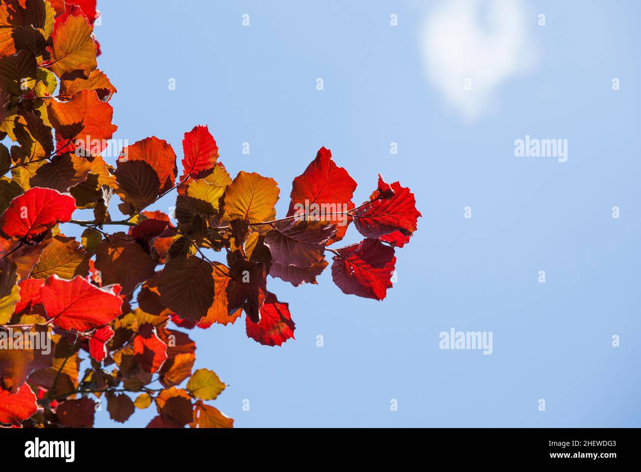 Summer leave hi-res stock photography and images - Alamy