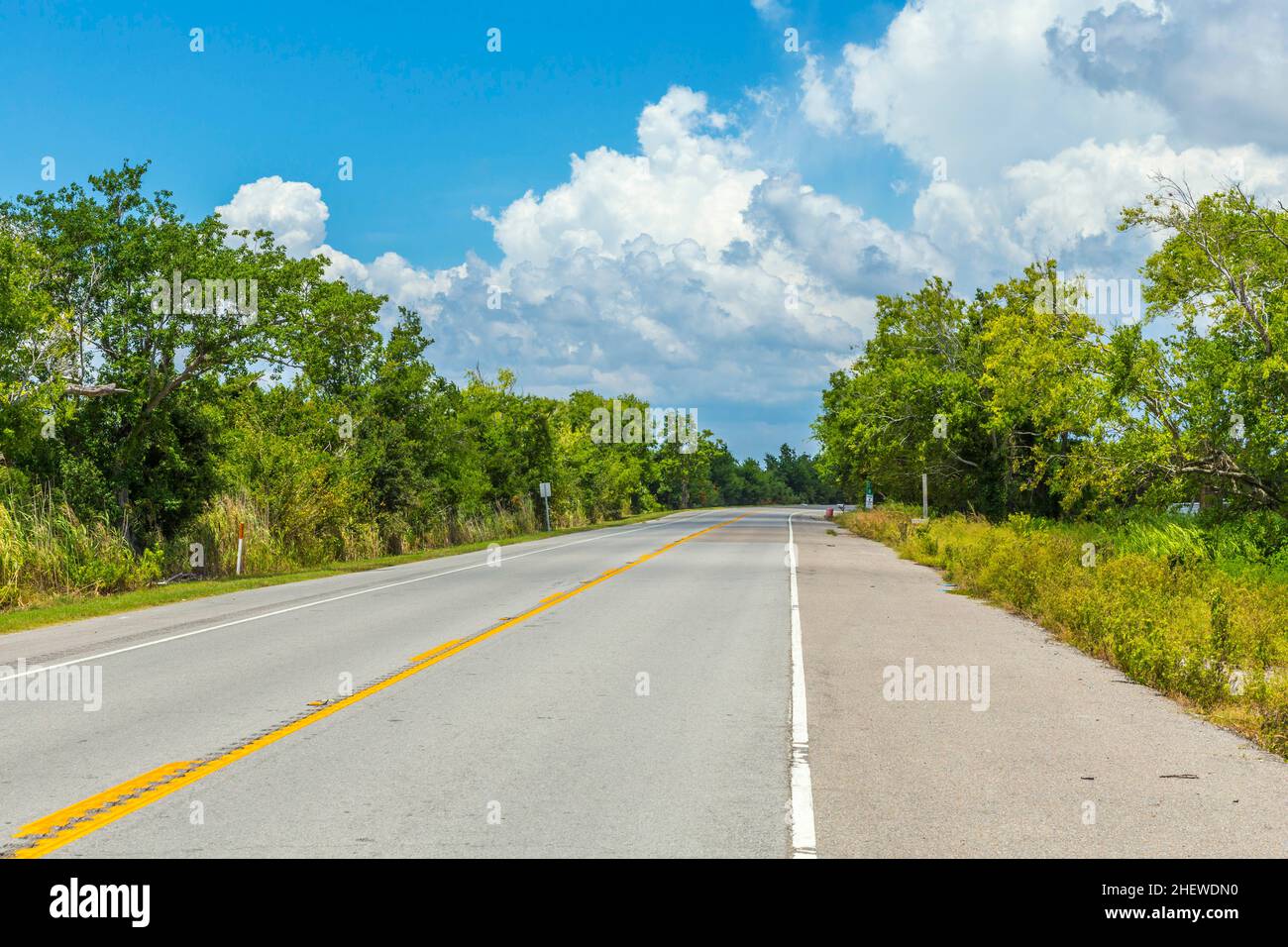 empty highway in america with trees and blue sky near New Orleans at ...