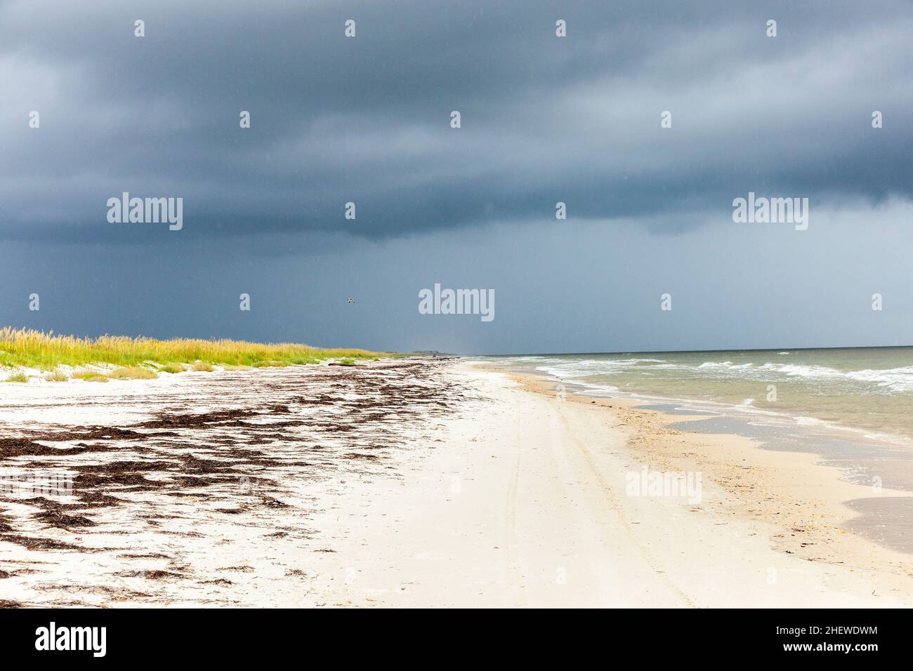 beach at pacific ocean near Apalachicola in bad weather Stock Photo - Alamy