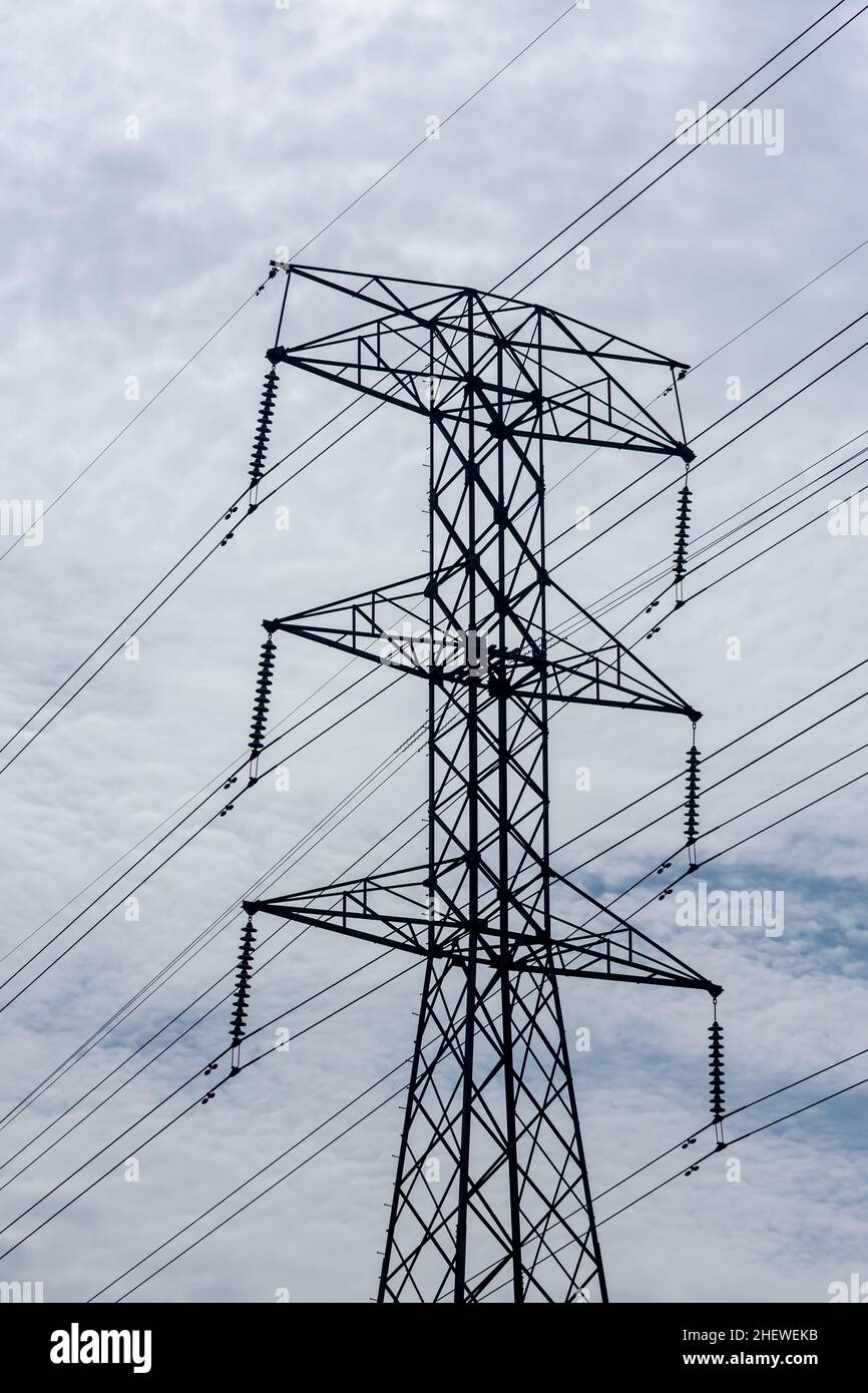 Stands above the tree line hi-res stock photography and images - Alamy