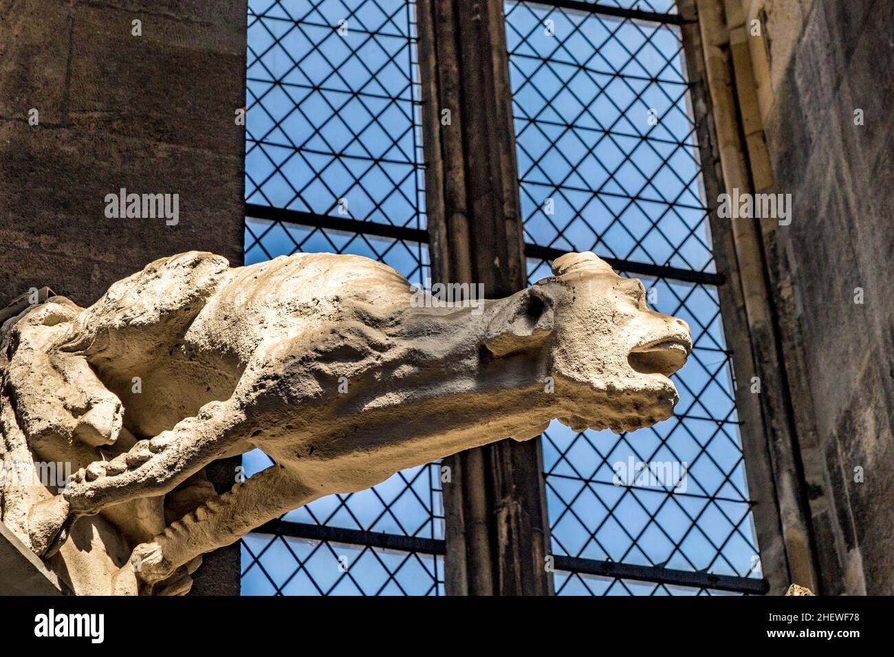 gargoyle (water-spout) of Stephansdom Wien (St. Stephen's Cathedral ...
