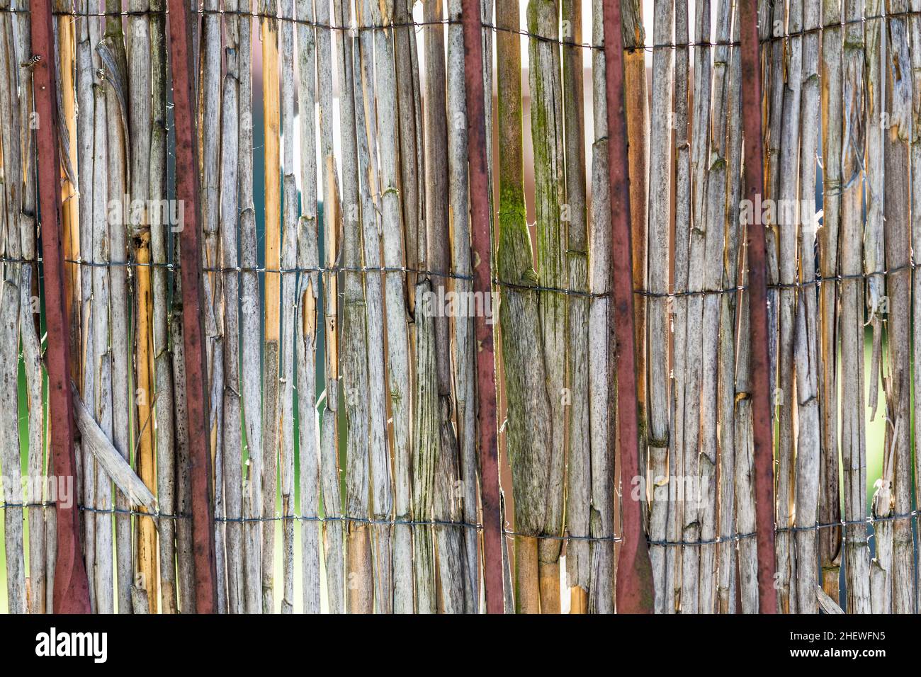 Rotten bamboo hi-res stock photography and images - Alamy