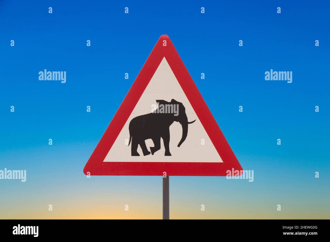 elephant crossing sign at a street in Namibia in the wildlife area ...