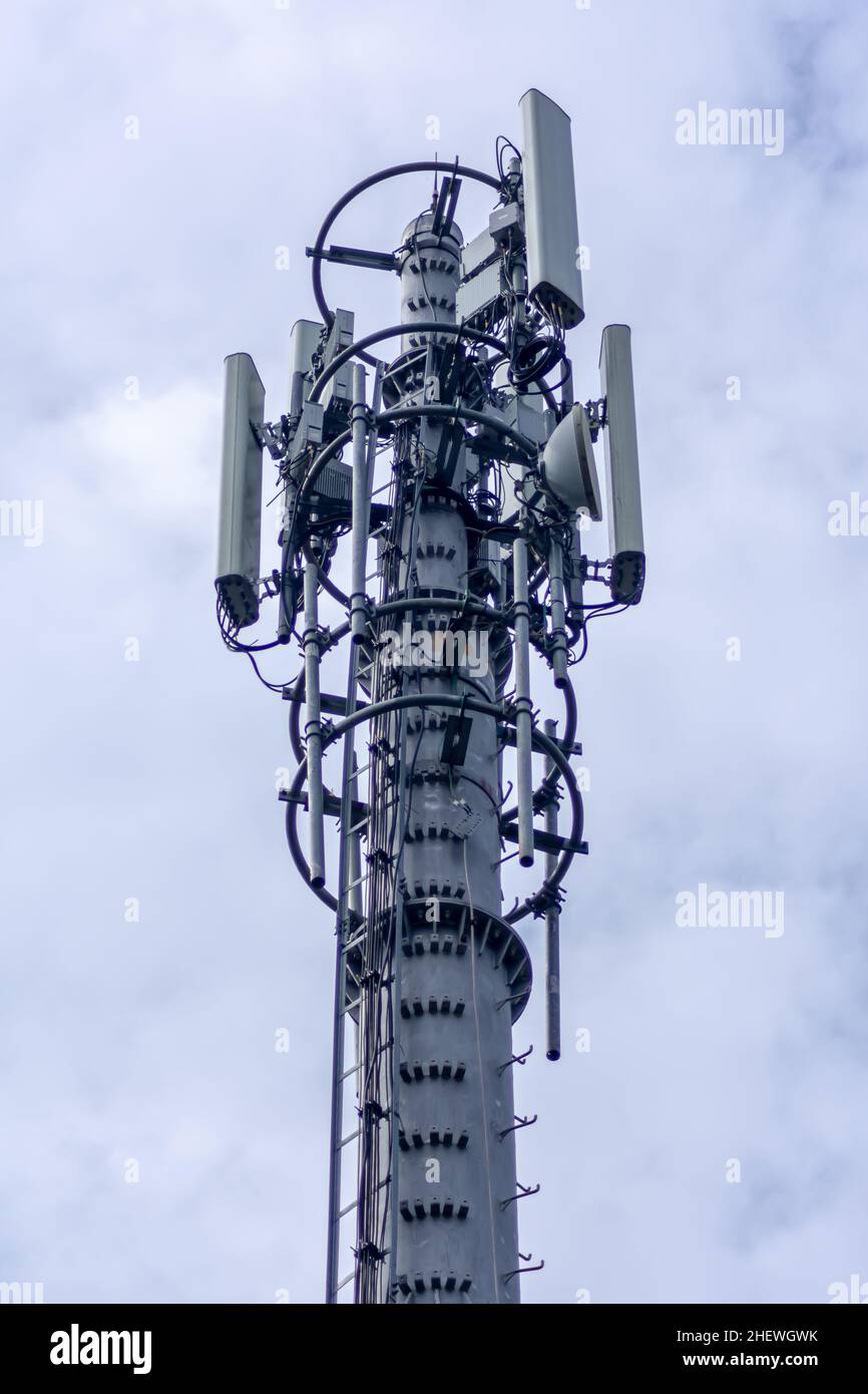 World chipization hi-res stock photography and images - Alamy