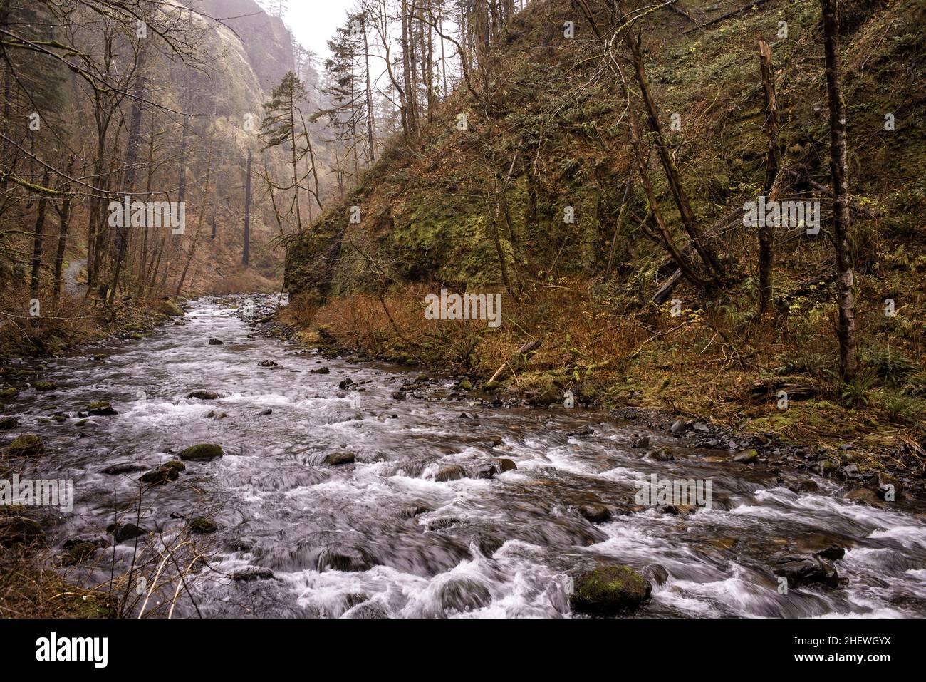 This is Tanner Creek on a rainy morning. It is located south of the ...