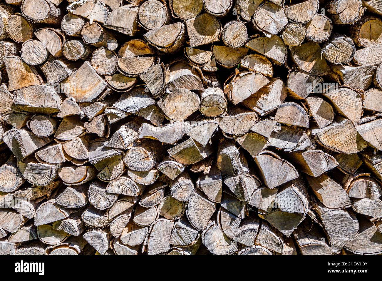 stack of dry firewood in the forest Stock Photo - Alamy