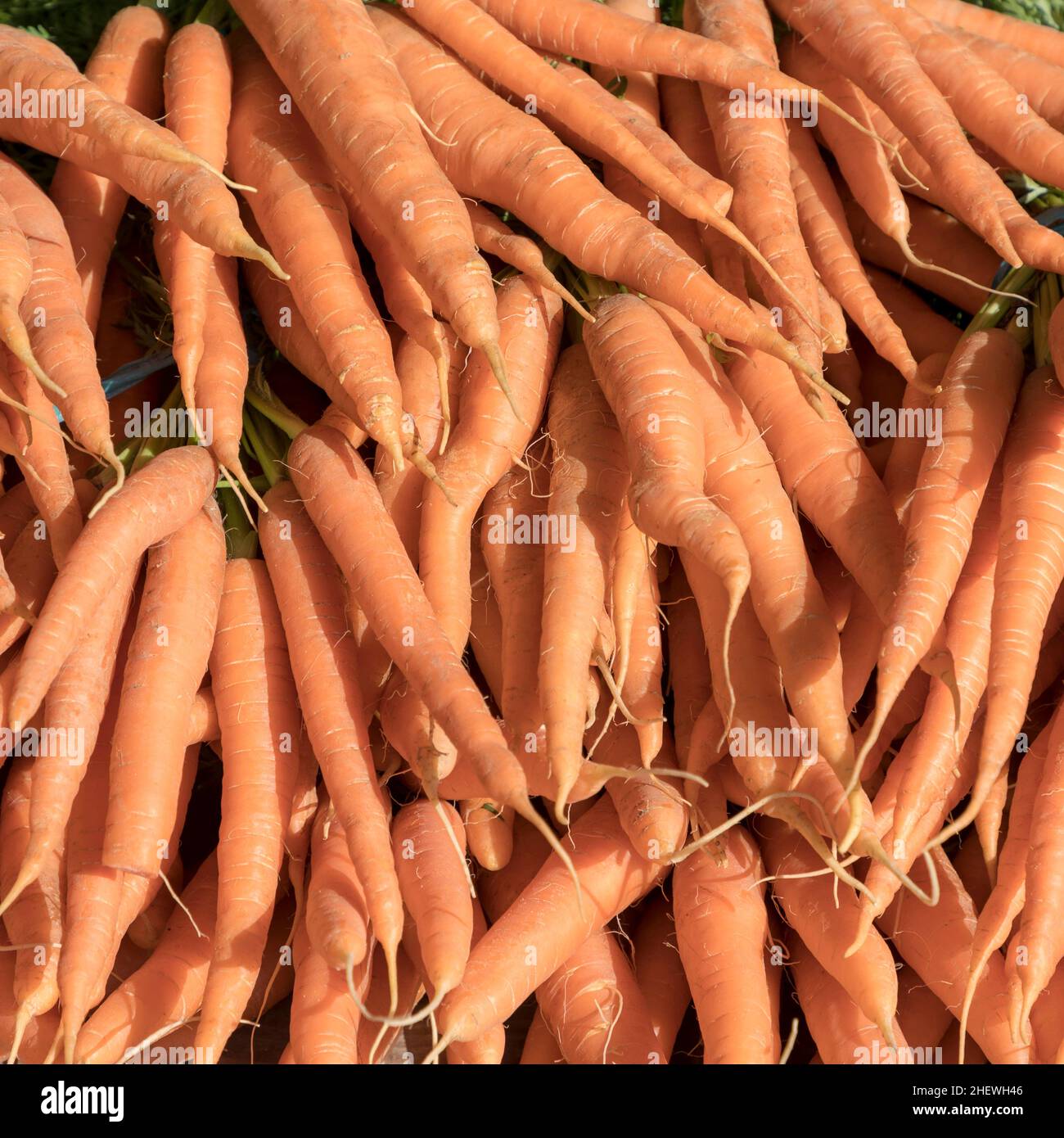 detail of fresh carrots at the market Stock Photo - Alamy