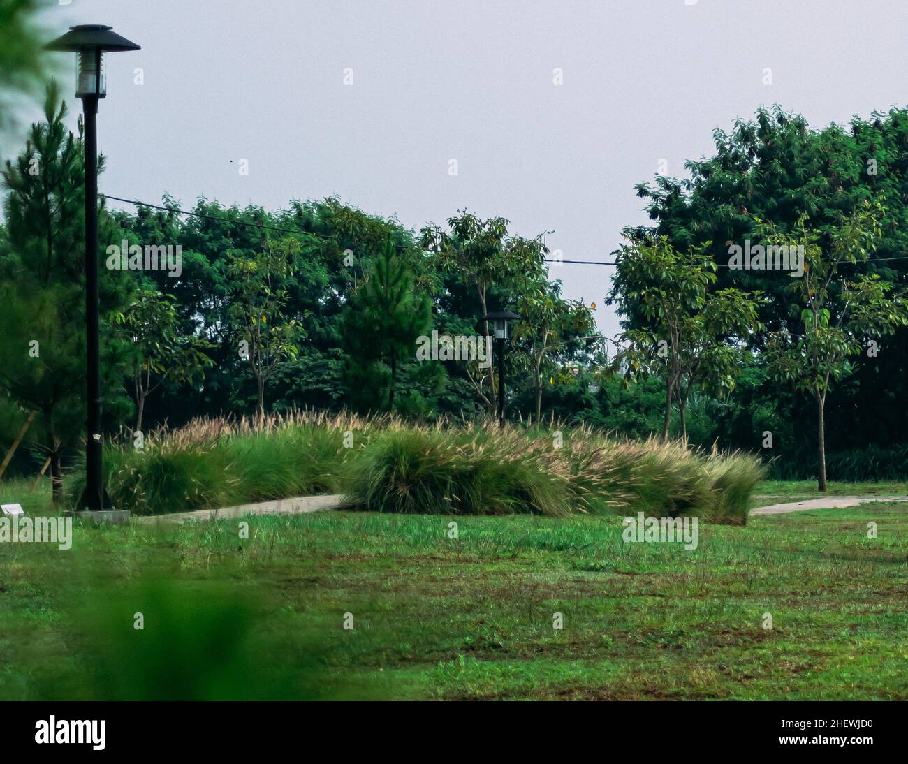 Beautiful scene of city park in the morning bright blue sky with green ...