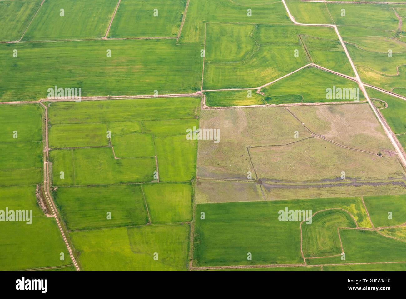 rural landscape with green fields near Porto Allegre in Brazil Stock ...