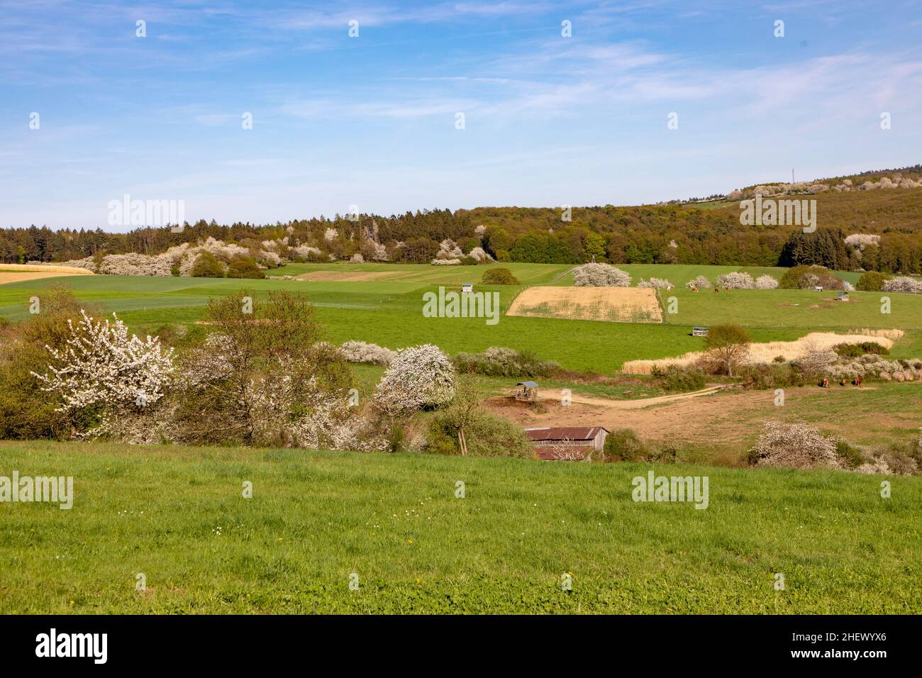 Ladscape trees hi-res stock photography and images - Alamy