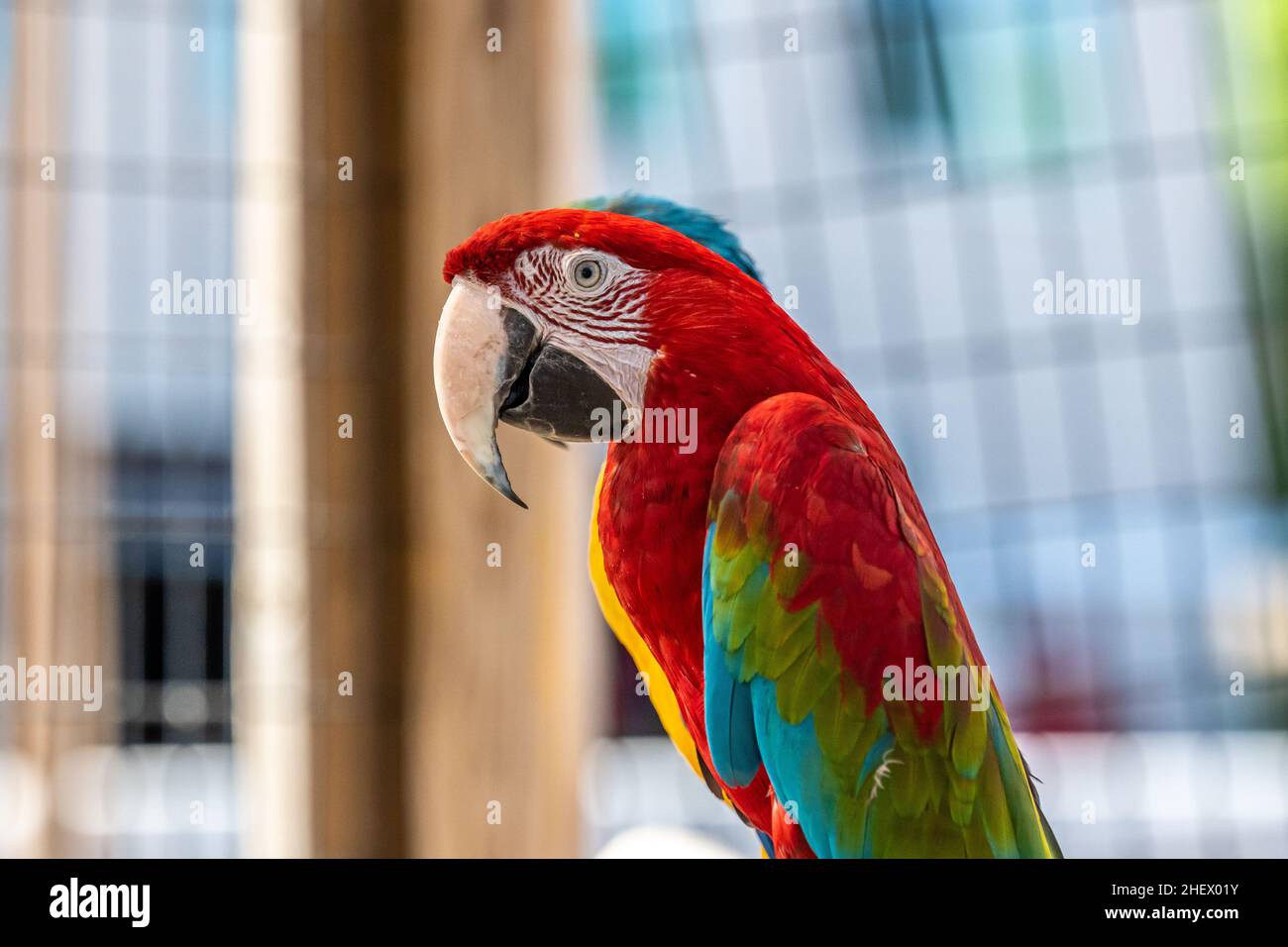 Hemker park zoo hi-res stock photography and images - Alamy