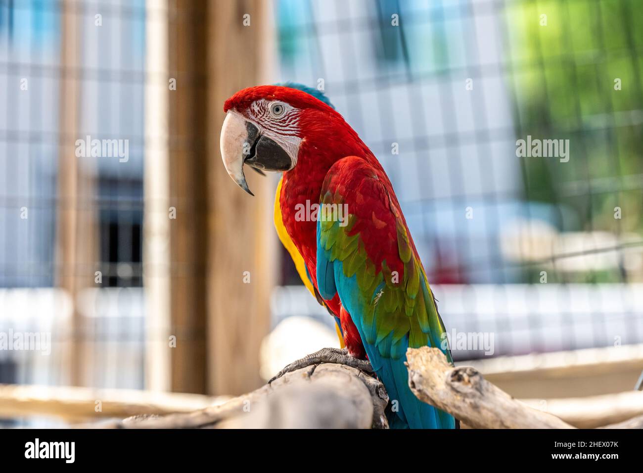 Hemker park zoo hi-res stock photography and images - Alamy