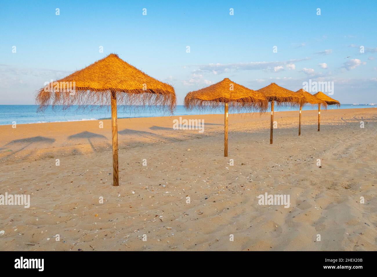 straw parasol at the beach in row by row Stock Photo - Alamy